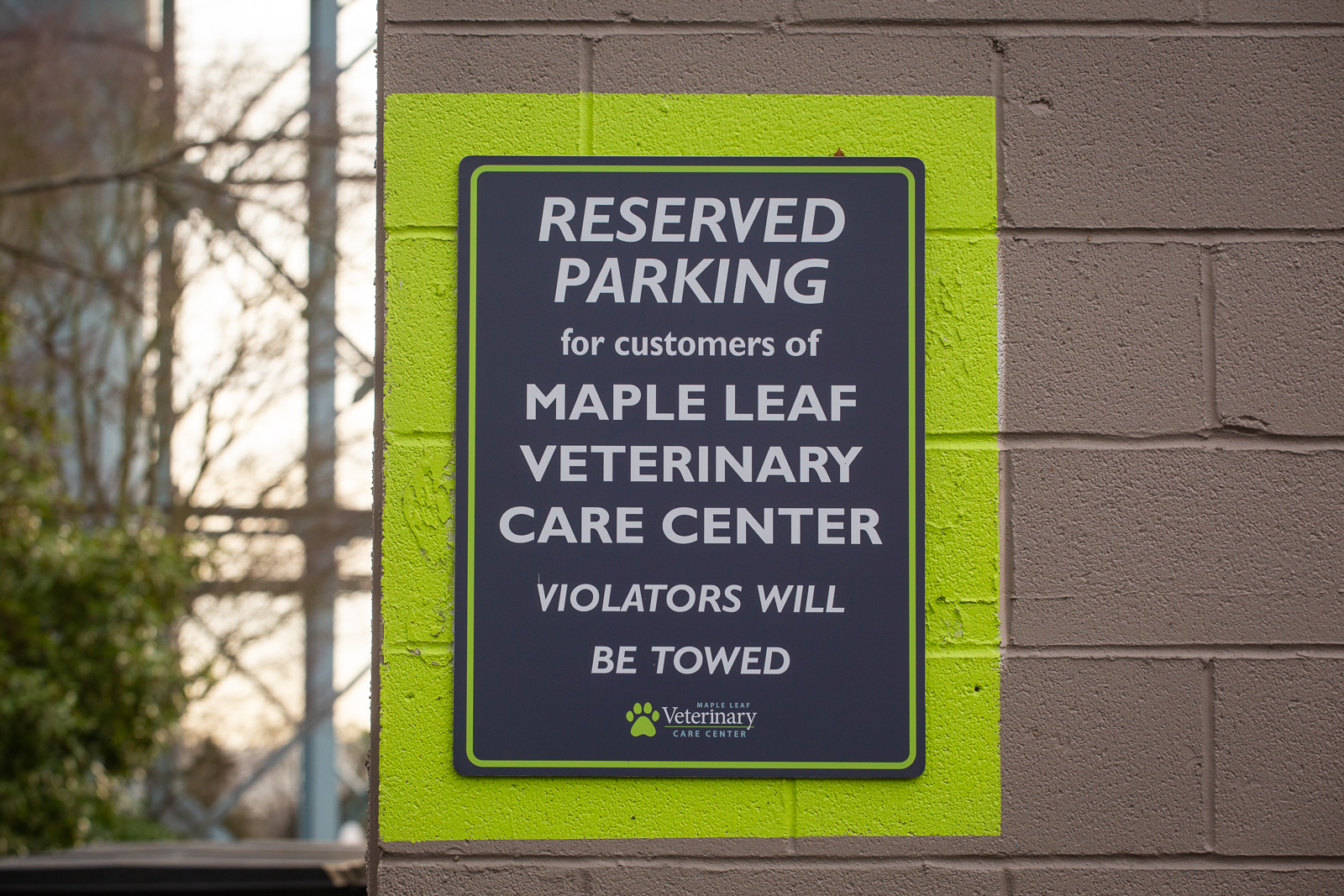 Maple Leaf Veterinary Care Center: 3D Building Sign - Studio 3 Signs